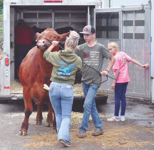Fairly ready: Washington County Fair starts today | News, Sports, Jobs ...